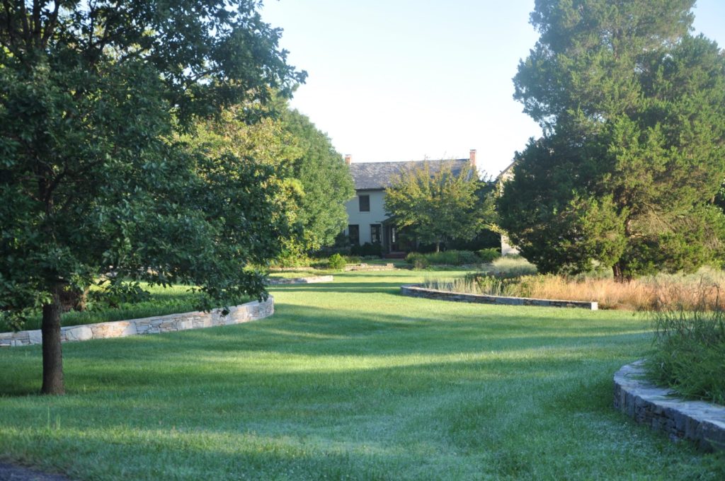 American Meadow Garden - McHale Landscape